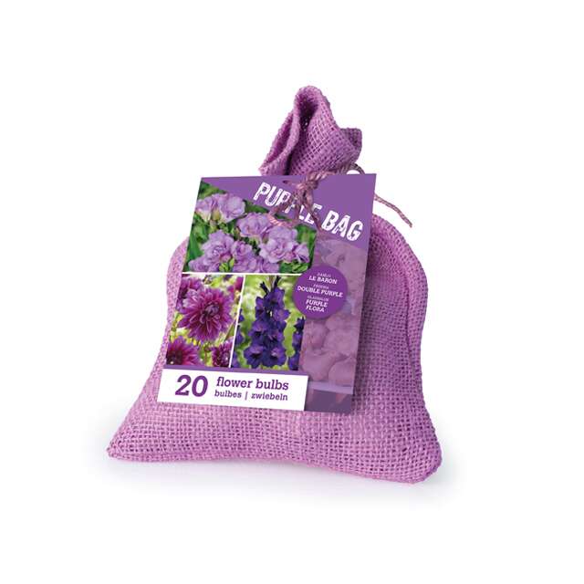 The Purple Bag 20/1