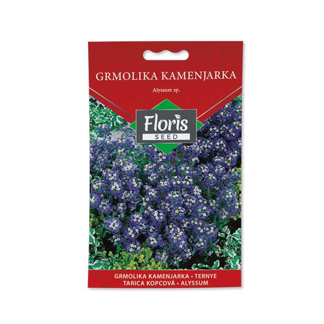FLORIS-Cveće-Grmolika kamenjarka 0,5g