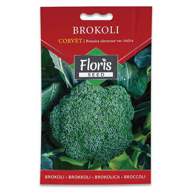 FLORIS-Povrće-Brokoli Korvet 1g