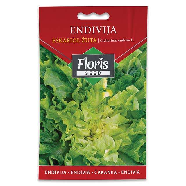FLORIS-Povrće-Endivija Eskariol Žuta 1g