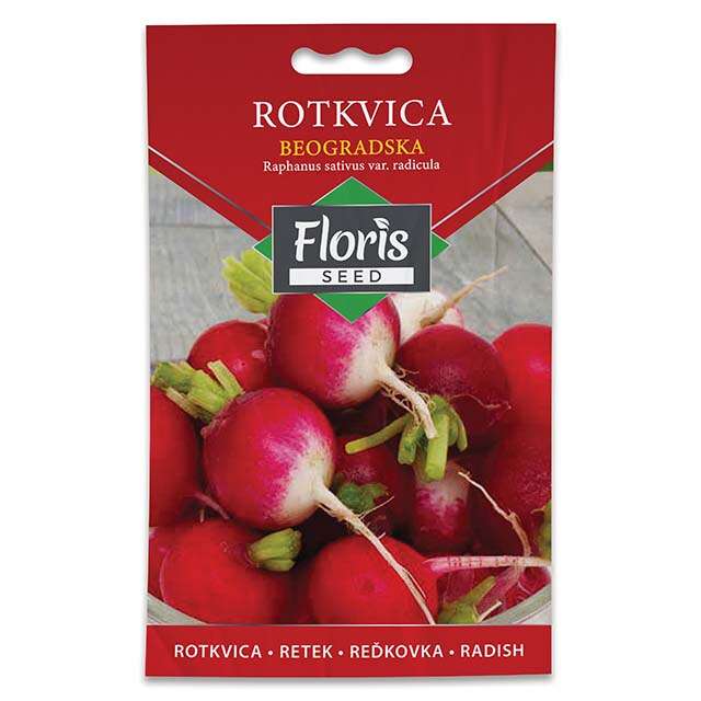 FLORIS-Povrće-Rotkvica Beogradska 2g
