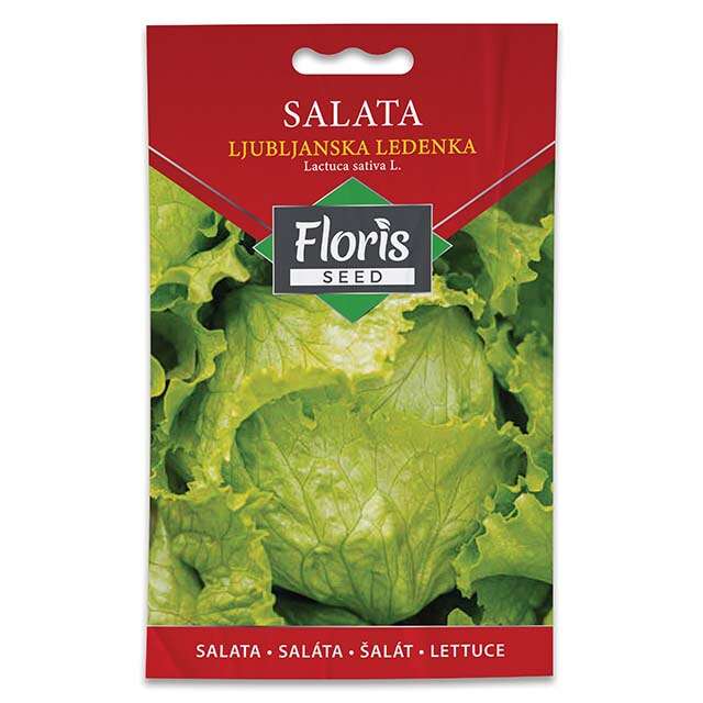 FLORIS-Povrće-Salata Ljubljanska ledenka 1,5g