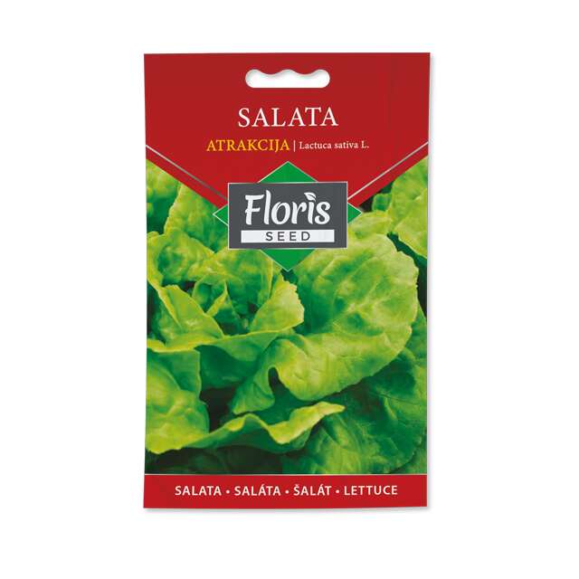 FLORIS-Povrće-Salata Atrakcija 20g