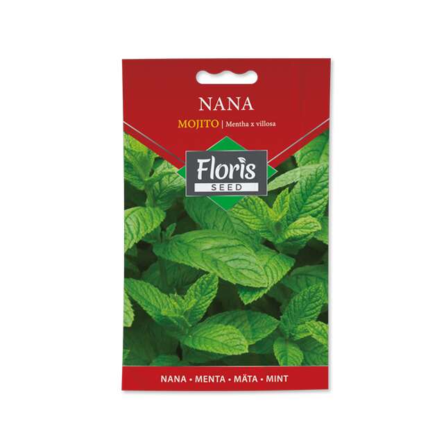 FLORIS-Začinsko bilje-Nana Mojito 0,1g