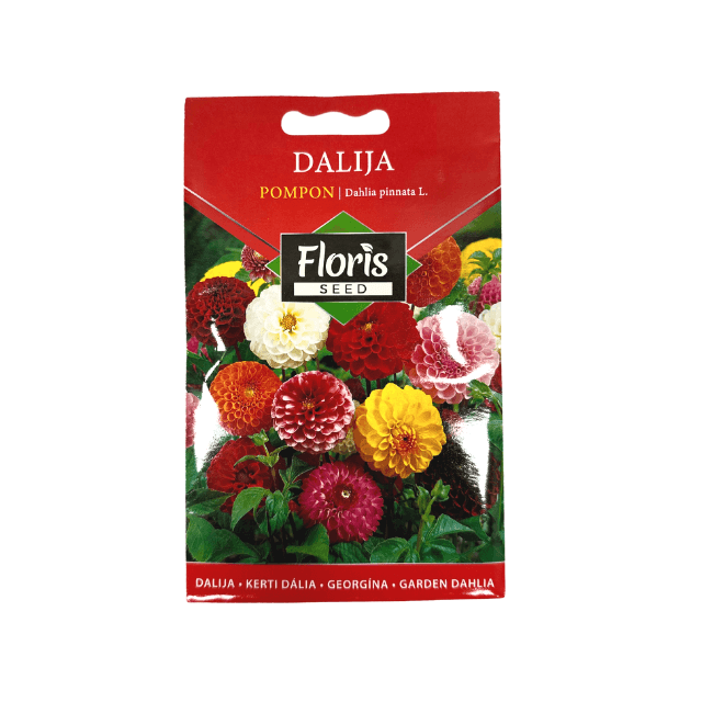 Floris-Cveće-Dalija Pompon 0,3 gr