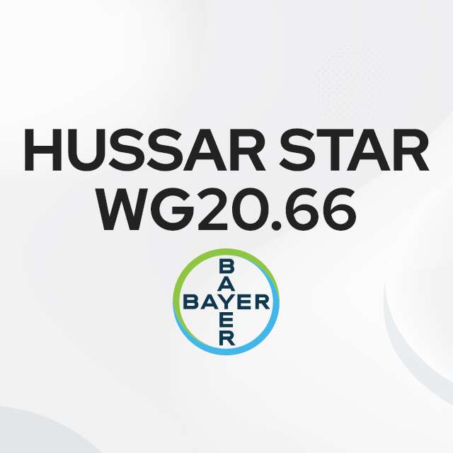 Hussar Star WG20.66 250g