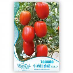 Milk red cherry tomato-retka sorta