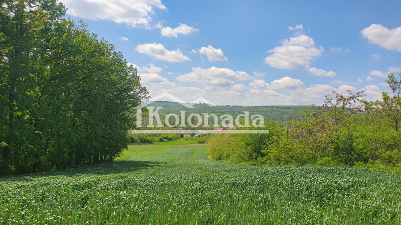 Gradjevinsko zemljište u Popoviću, Kosmaj, Sopot ID#5121 36.500 €