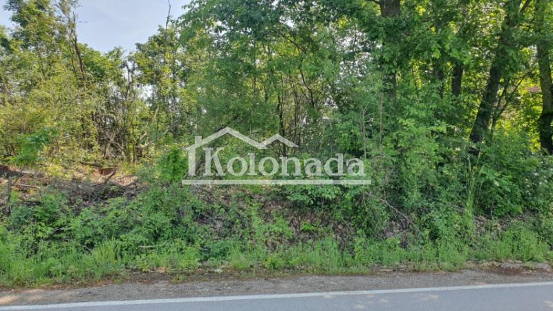 Plac u Rogači, Kosmaj, Sopot ID#4423
38.500 €