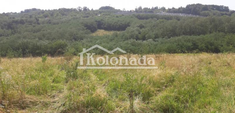 Gradjevinsko zemljište i šuma u Sopotu ID#6723 75.300 €