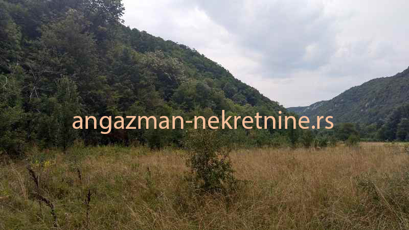 Boljevac, Rtanj – Jablanica - 77,11ari ID#19054 7.500 €