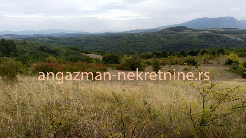 Boljevac – Vrbovac 12ha 58a 33kvm – 70eur/ar ID#19619 63.000 €