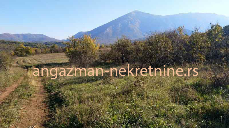 Boljevac, Rtanj – Jablanica, Lobodar 3ha 20a 58kvm ID#19860
20.800 €