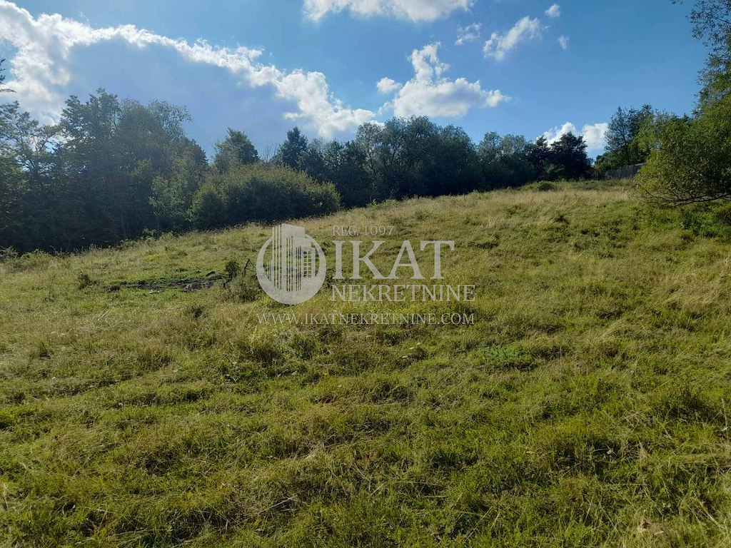 Tara, Zaovine, Vežanja, plac, 56ari ID#3136 143.000 €