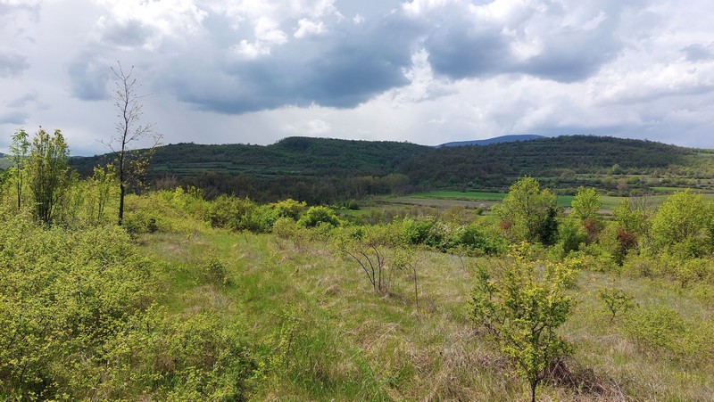 Zaječar – Gornja bela reka 31kvm-1ha 44a 11kvm ID#21435 13.000 €