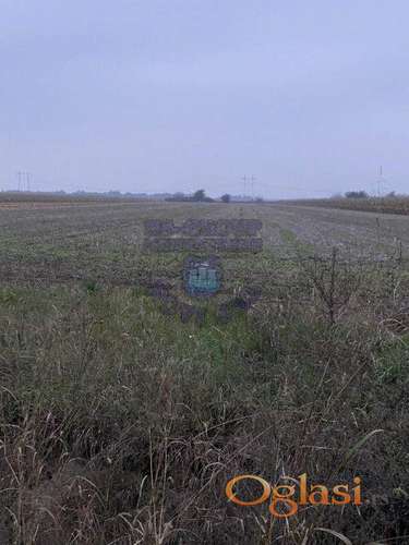 Odlican plac za proizvodni pogon u Backom Jarku