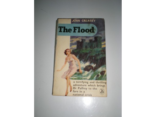 THE  FLOOD   *