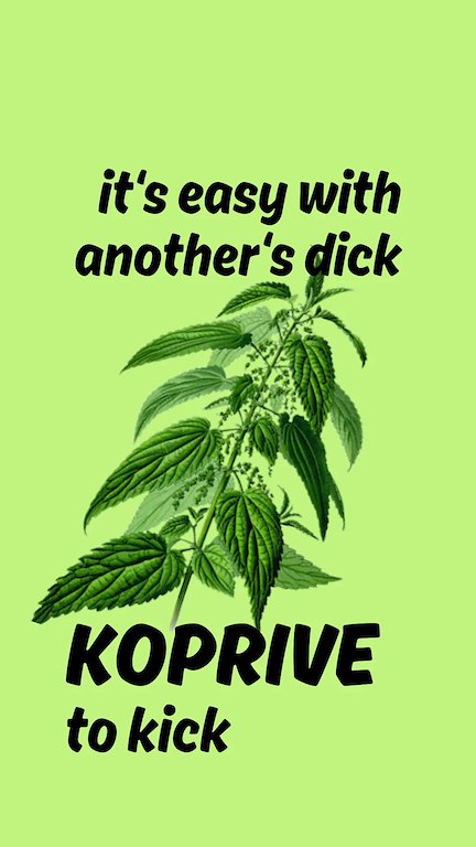 Koprive