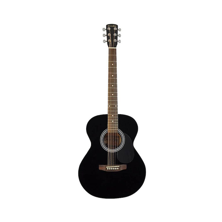 Richwood RD-12-SB akustična gitara