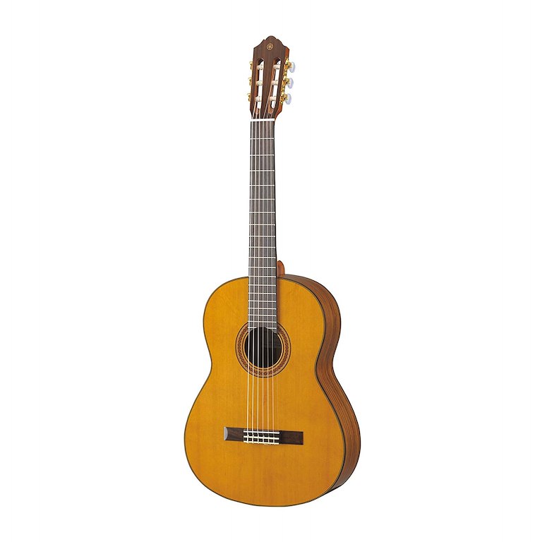 Salvador CS-244-CE ozvučena klasična gitara