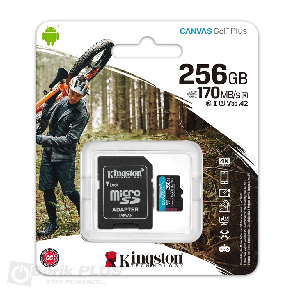 Memorijska kartica Kingston 256GB, 100Mb/s