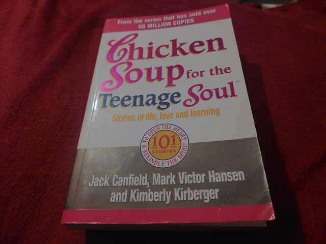 Chicken soup for the teenage soul