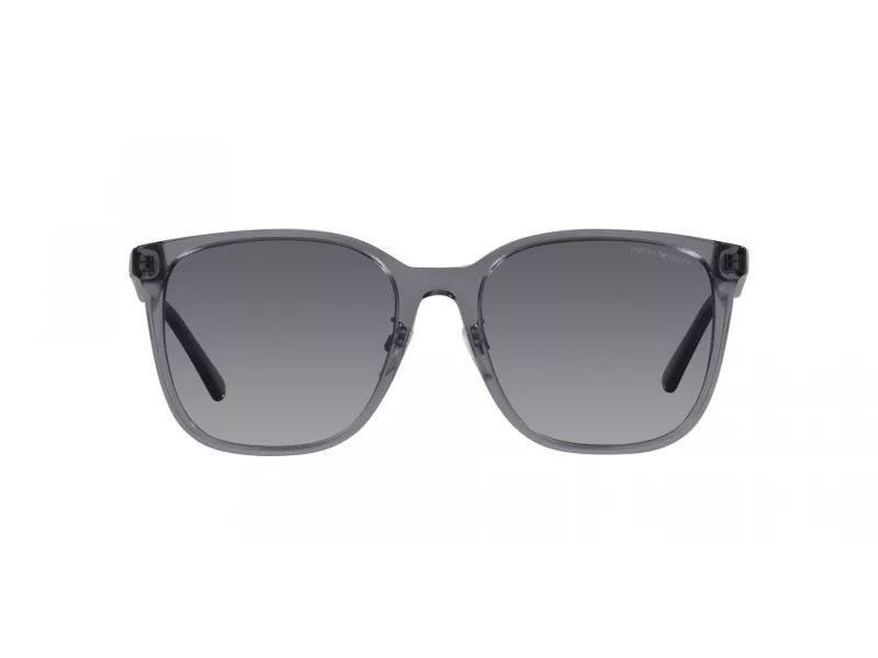 Emporio Armani Naočare za sunce EA 4206D 5029T3