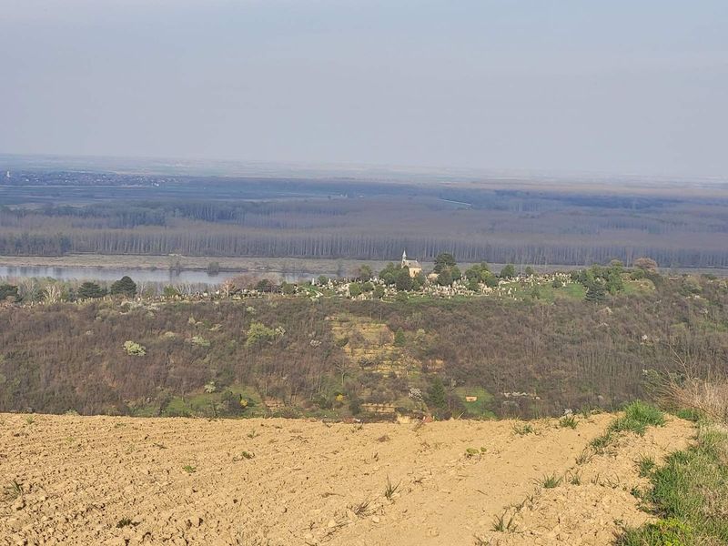 Čerat, Sremski Karlovci