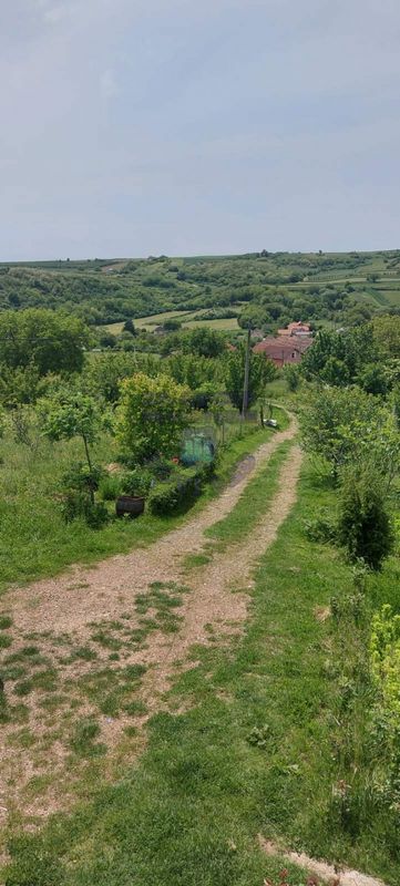 Centar, Vrdnik