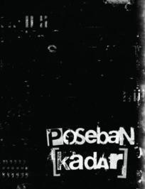 Poseban kadar