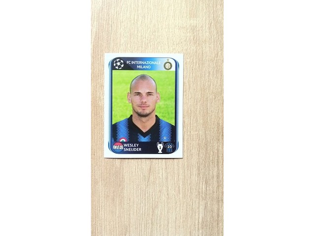 Liga šampiona 2010/11 Panini broj 18 018