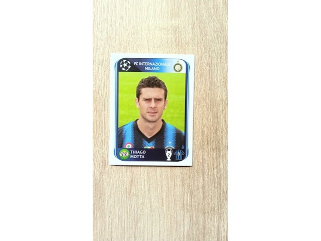 Liga šampiona 2010/11 Panini broj 15 015