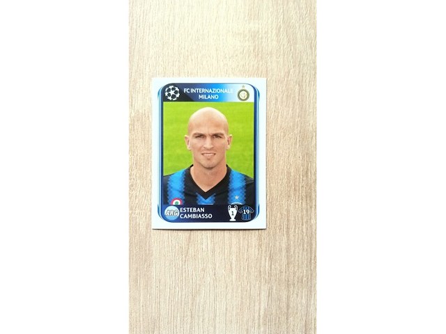 Liga šampiona 2010/11 Panini broj 14 014