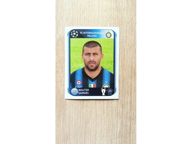 Liga šampiona 2010/11 Panini broj 8 008