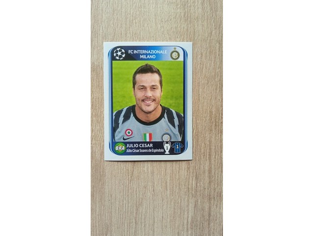 Liga šampiona 2010/11 Panini broj 6 006