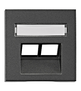 Pokrov 2xRJ45 UAE s natpisom, antracit
VISIO S 55 (55x55)