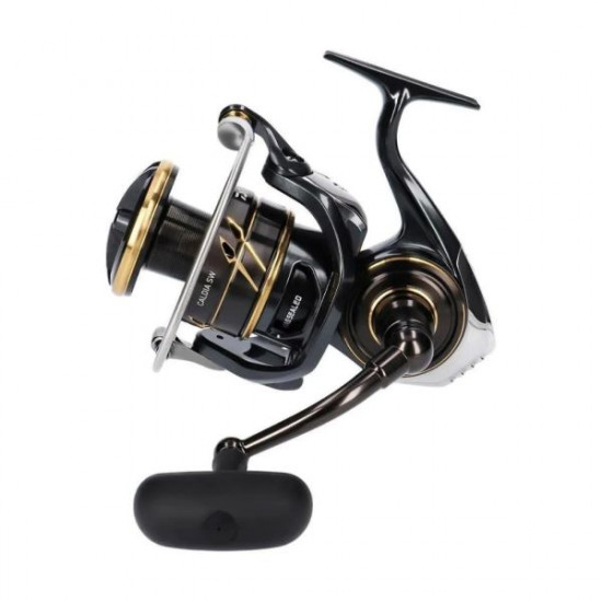 DAIWA 23 CALDIA SW 4000D-CXH