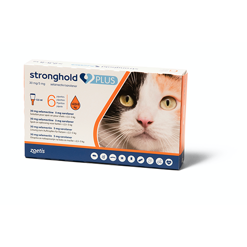 Stronghold plus cat 2,5 – 5kg