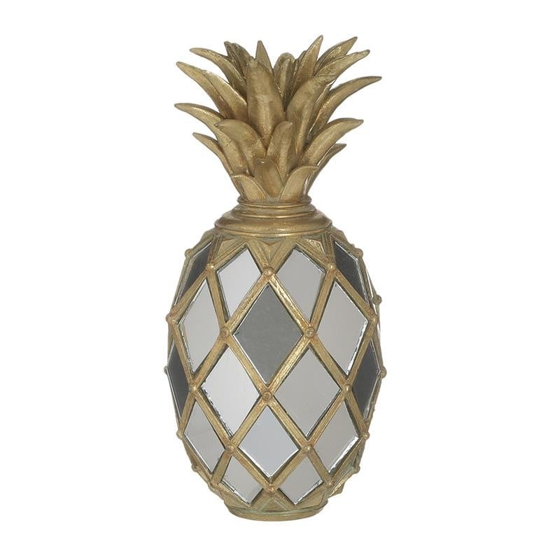 POLIREZIN ANANAS 8X19CM