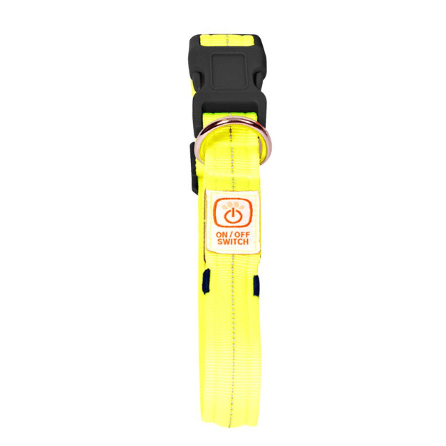 Ogrlica za psa svetleća 30-40cm, neon žuta