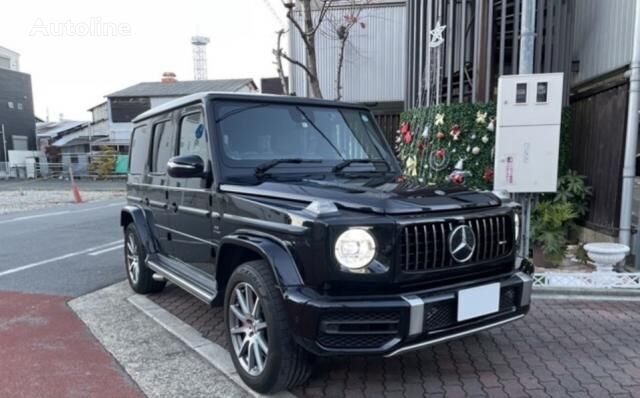 Mercedes-Benz G-Class terenac