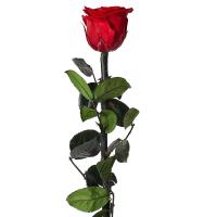 Veštačka ruža 30cm