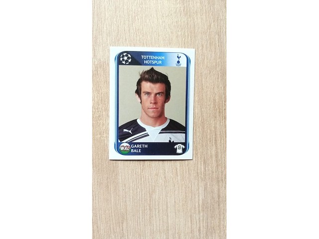 Liga šampiona 2010/11 Panini broj 42 042