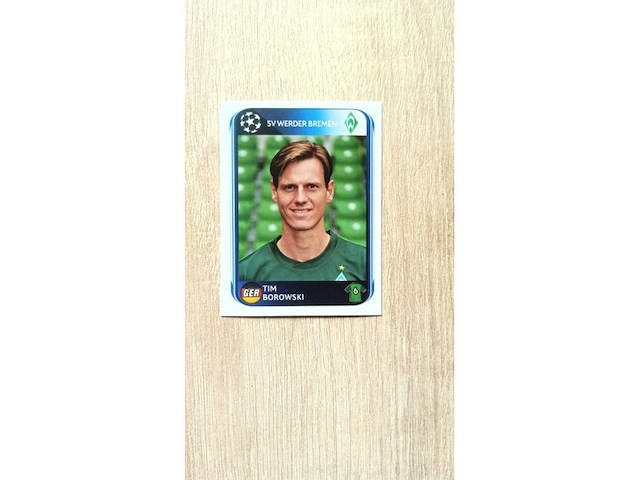 Liga šampiona 2010/11 Panini broj 31 031