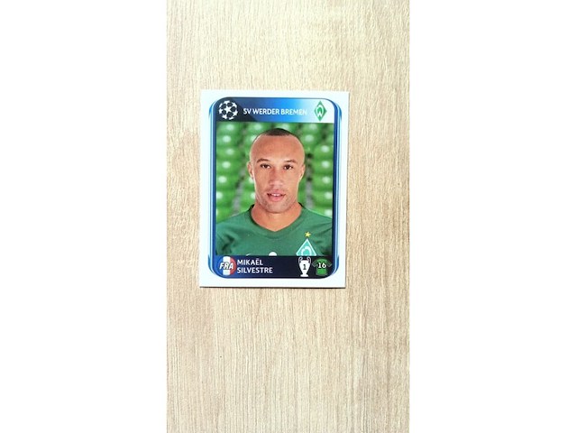 Liga šampiona 2010/11 Panini broj 28 028