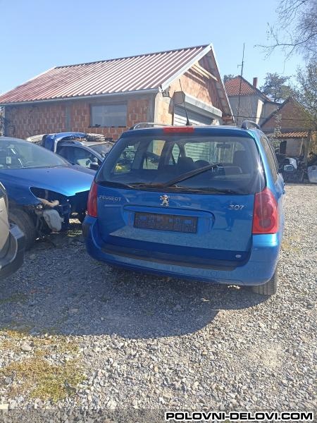 Peugeot 307 Svetla I Signalizacija