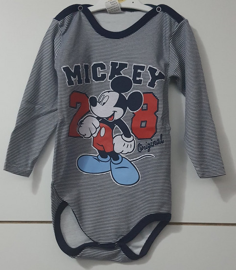 Mickey bodi