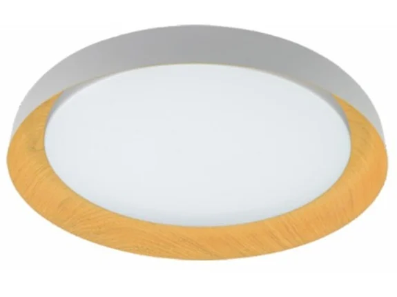 Mitea Lighting Plafonjera 24W 6500K LED SMD M205458