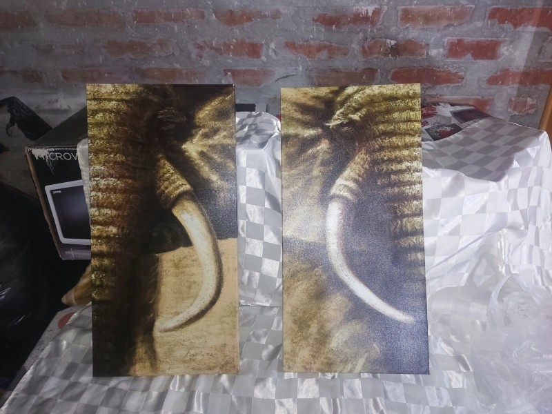 Slika na platnu slonova kljova dve slike