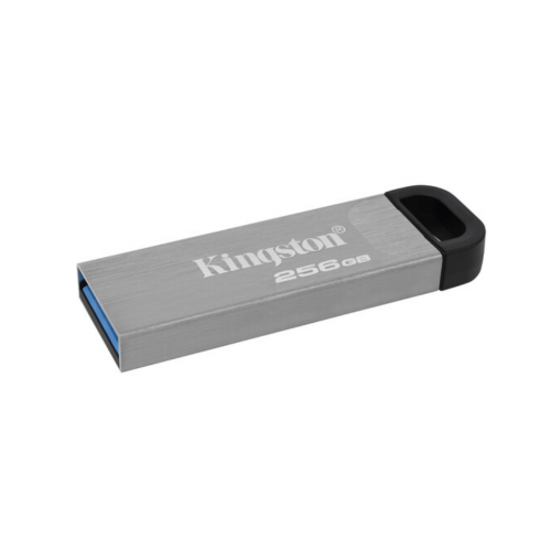 USB memorija KINGSTON DTKN/256GB/Kyson/3.2/srebrna